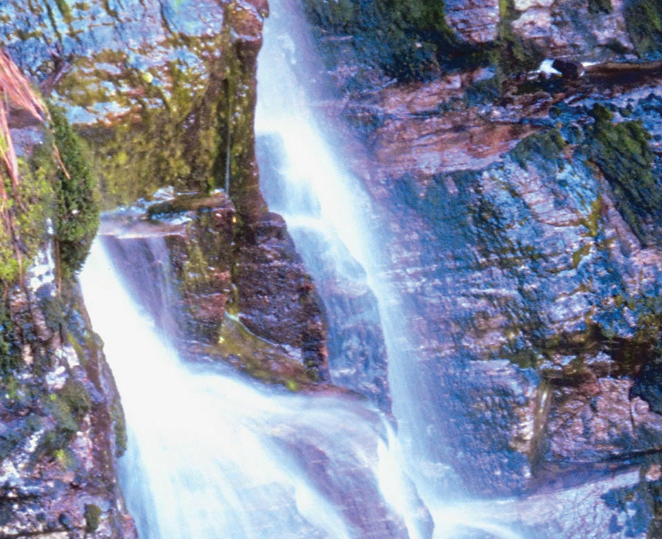 Divine Love — never failing / Christian Science Sentinel