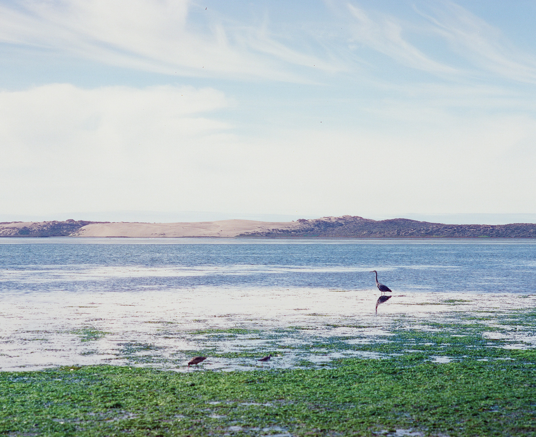 Image and Inspiration / Christian Science Sentinel