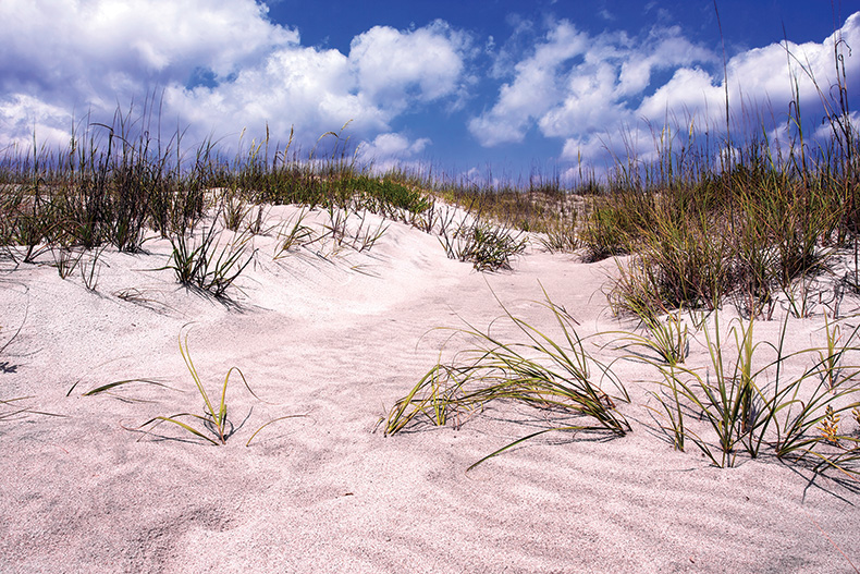 Dunes at East End Shore, North Carolina, US / Christian Science Sentinel